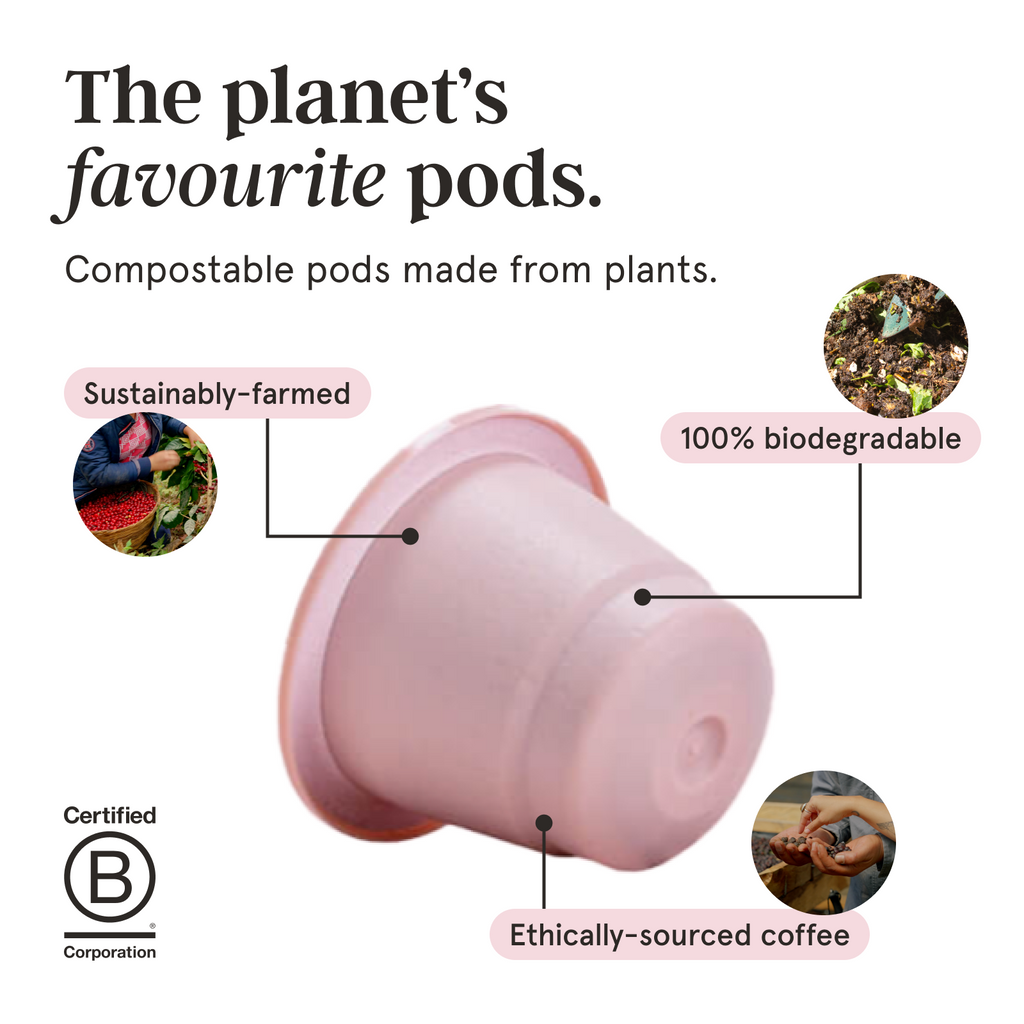 30 Refills of Compostable Coffee Pods | Coffee Pods | Grind